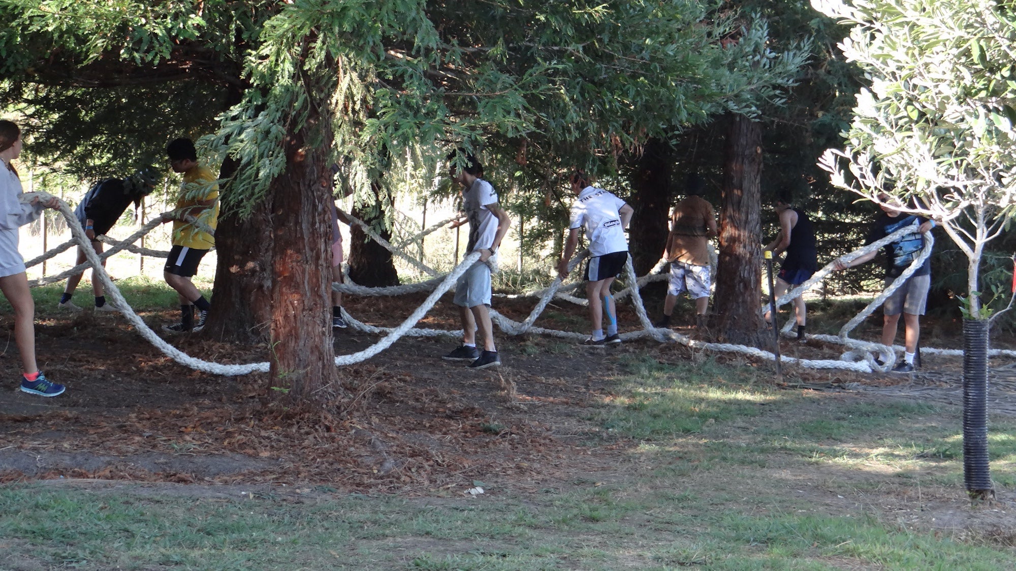 Jake the Snake - Obstacle Course Challenge – Action Matakana
